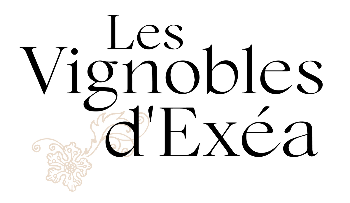 Famille d'Exéa Boutique – Boutique d'Exea